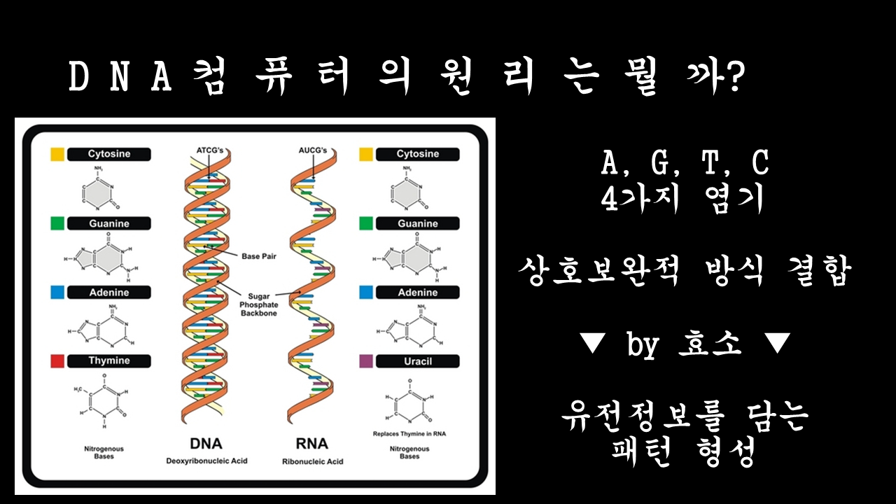 Projects Details - DNA Computer System